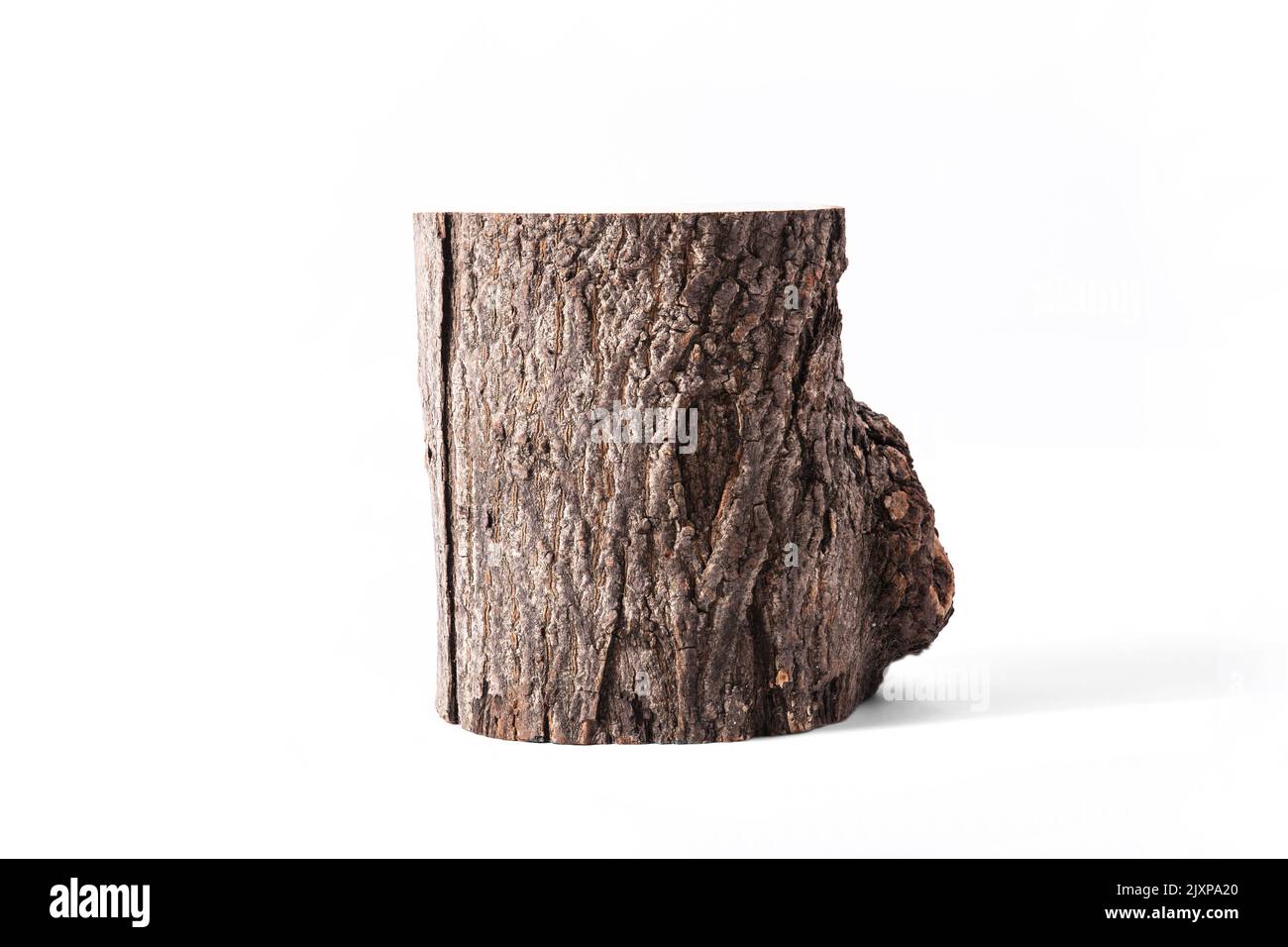 log stump log on white background Stock Photo - Alamy