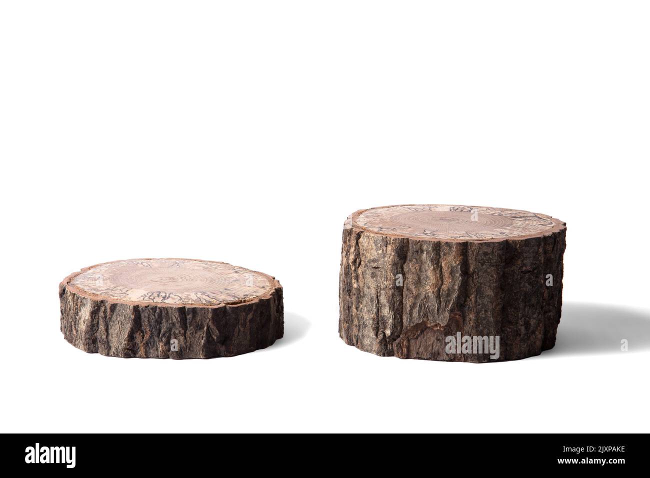 log stump log on white background Stock Photo - Alamy