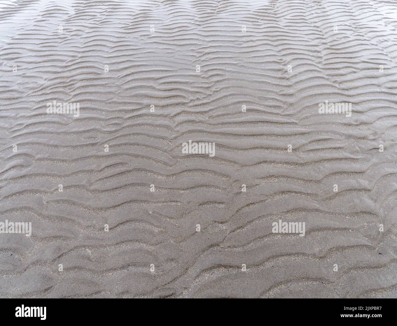 Relief on a sandy beach, full frame. Wavy pattern Stock Photo - Alamy