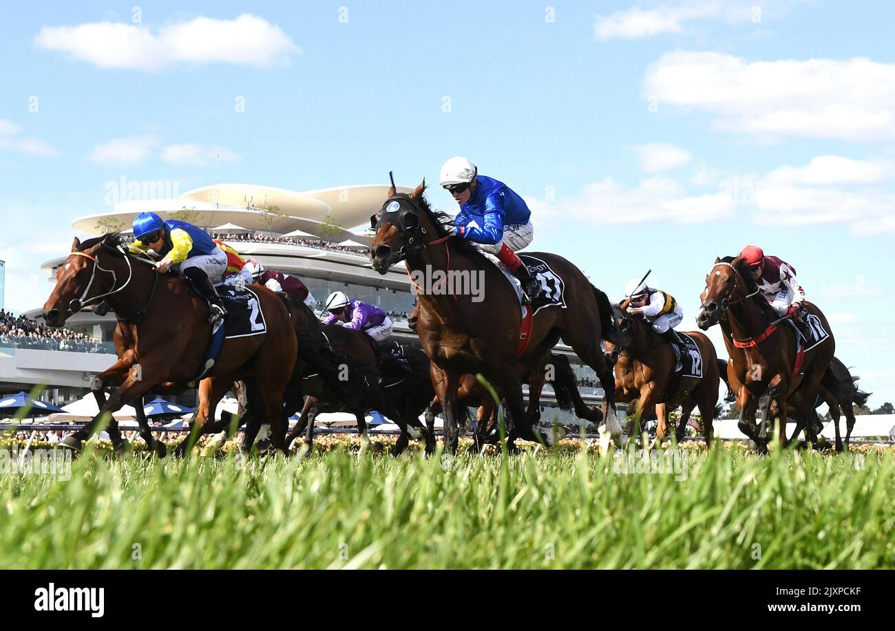 Fastnet Tempest ridden by Craig Williams (white cap) wins race 8 the ...