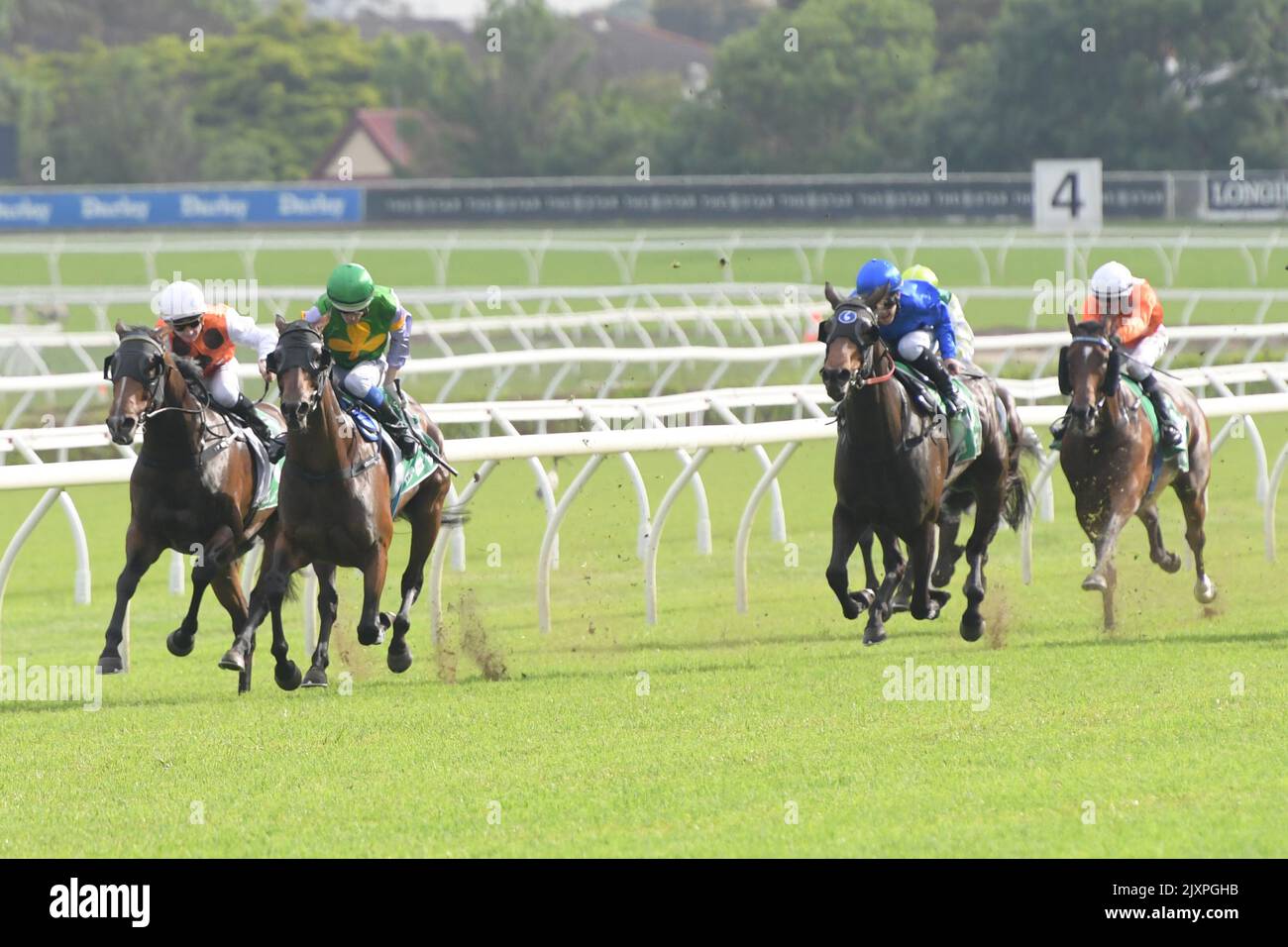 Jockey Blake Spriggs rides Vinnie Power to victory in race 8, the Tab ...