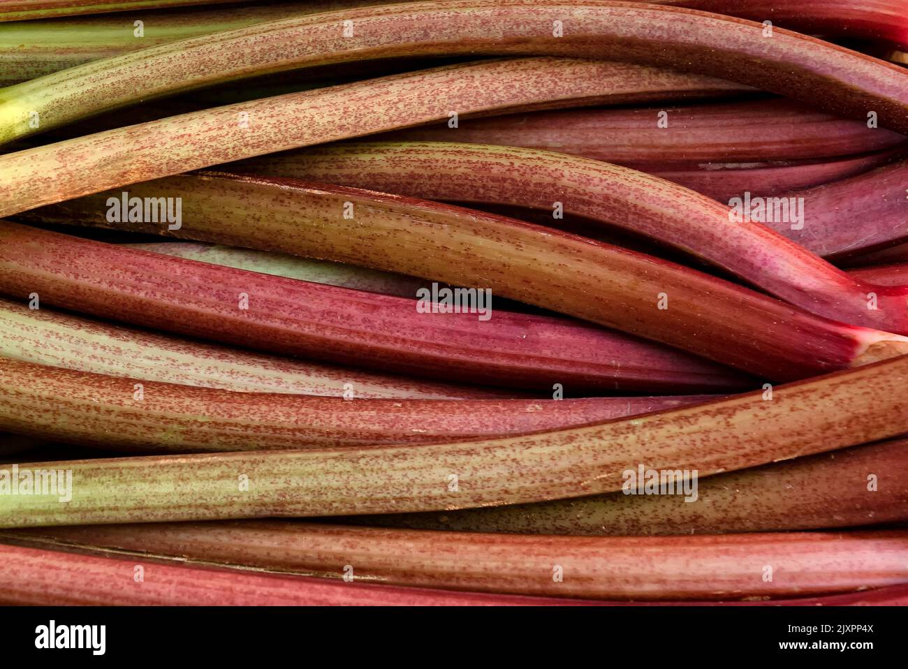 Vegetable stalk hi-res stock photography and images - Alamy
