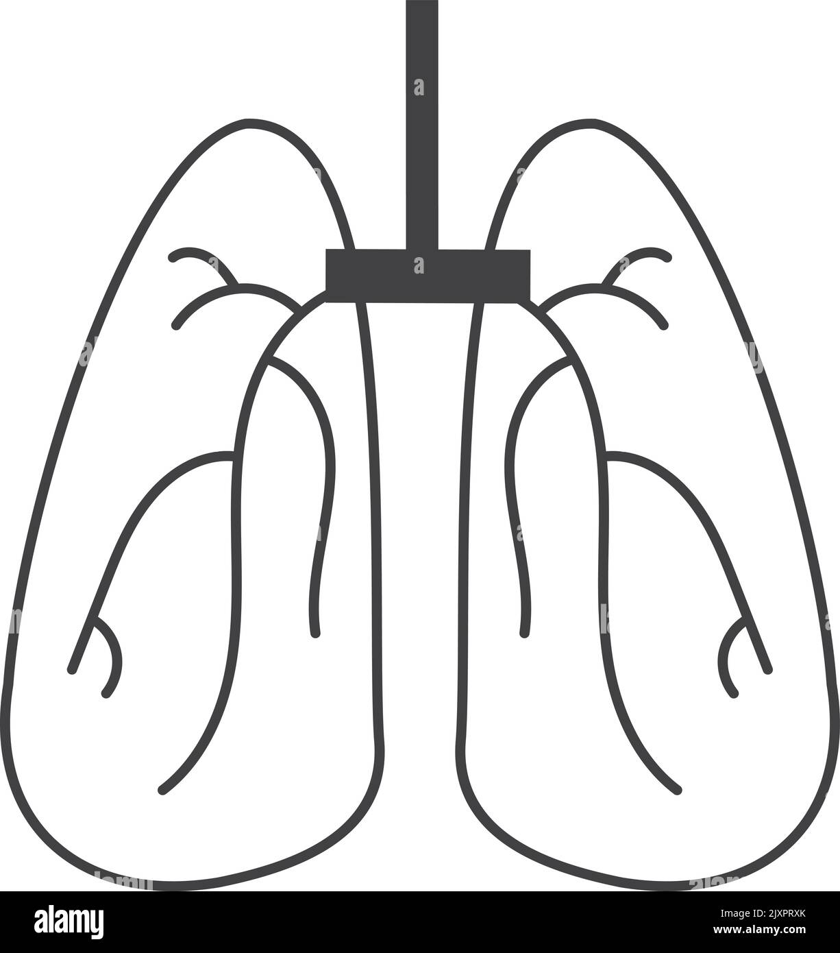 Lungs Icon Breath Line Symbol Respiratory Sign Isolated On White