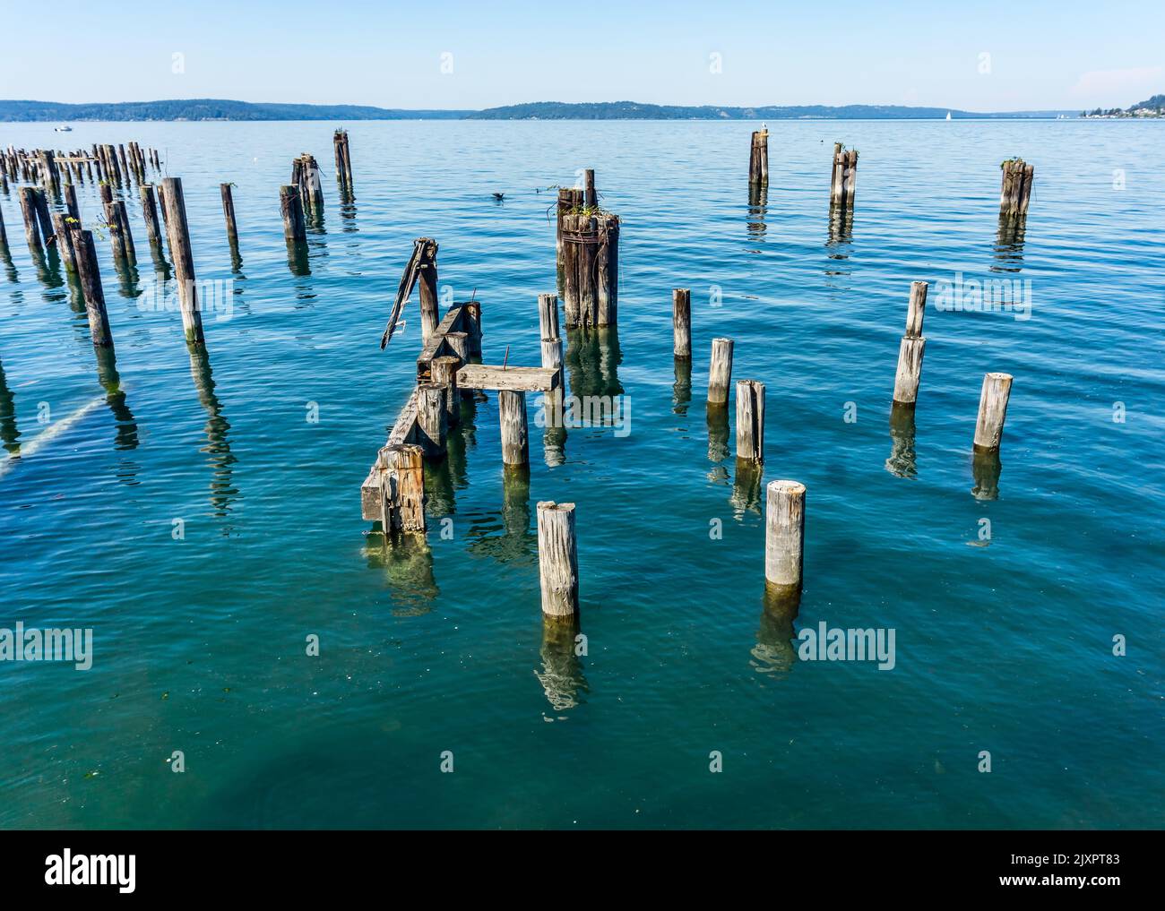 Old pilings at Dickman Mill Park in Ruston, Washington Stock Photo - Alamy