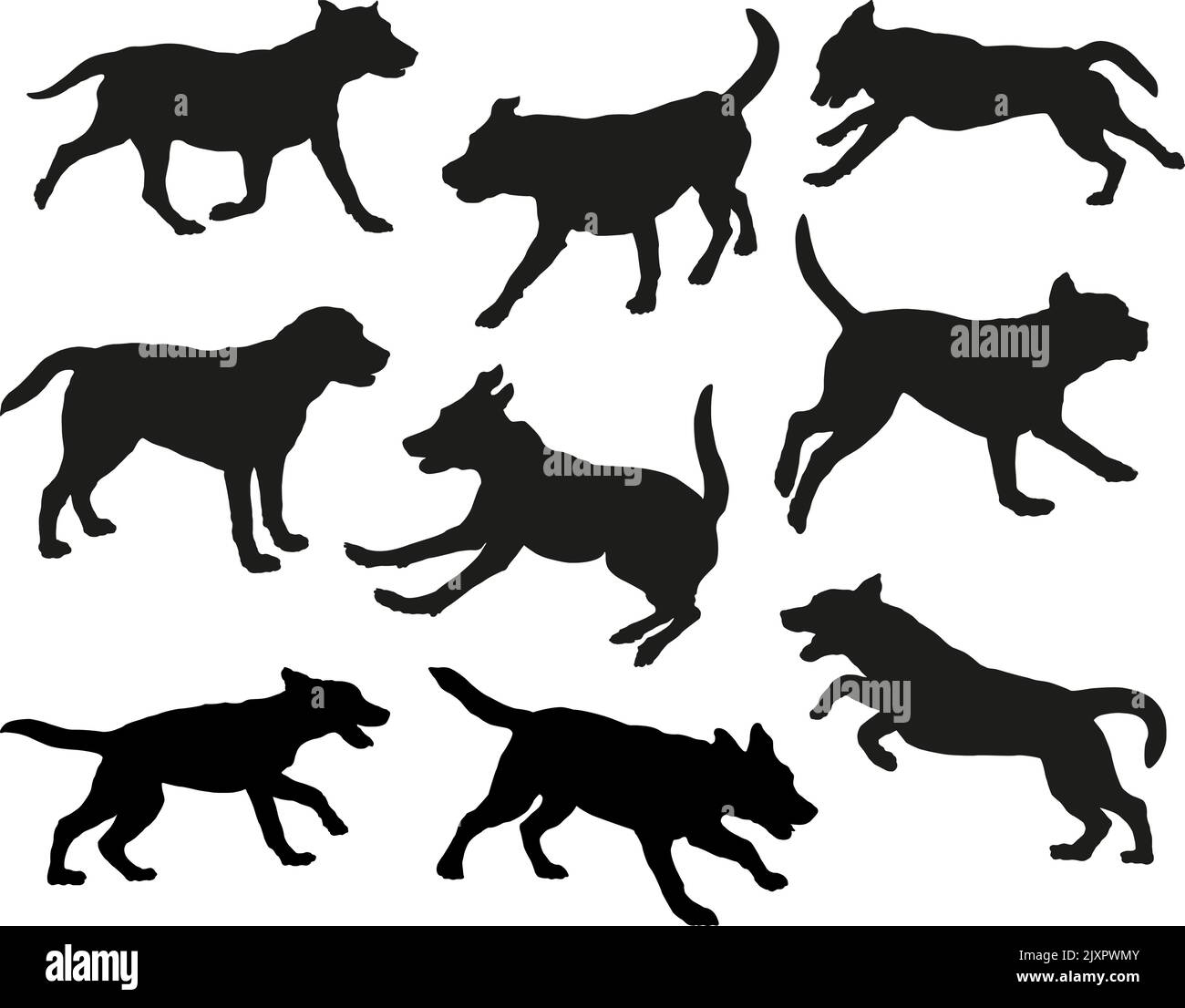 Group of labrador retrievers in various poses. Dog silhouette. Running ...