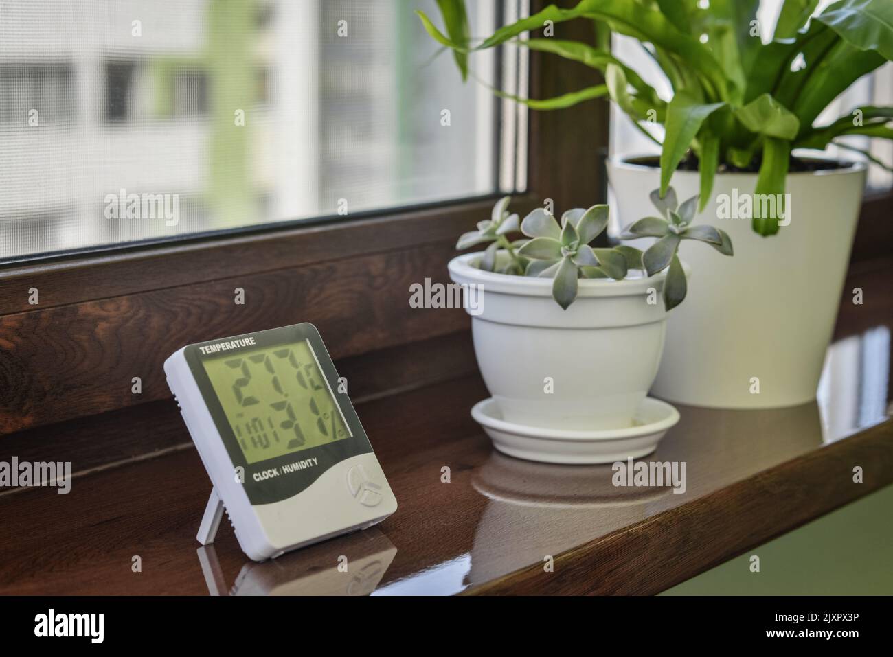 Thermometer hygrometer measuring the optimum temperature and humidity ...