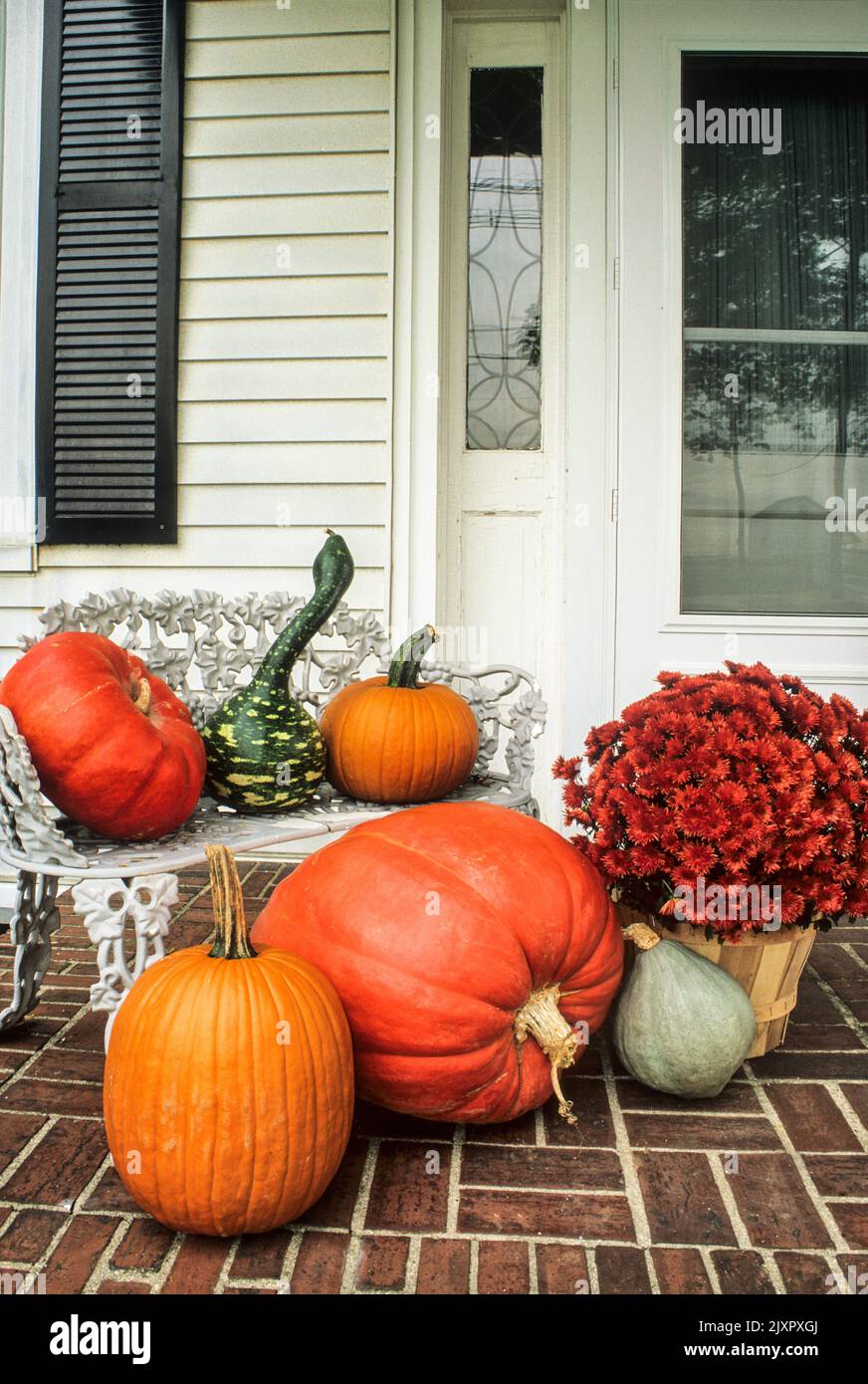 Autumn decorations of pumpkins, gourds, mums & squash on a country farm ...
