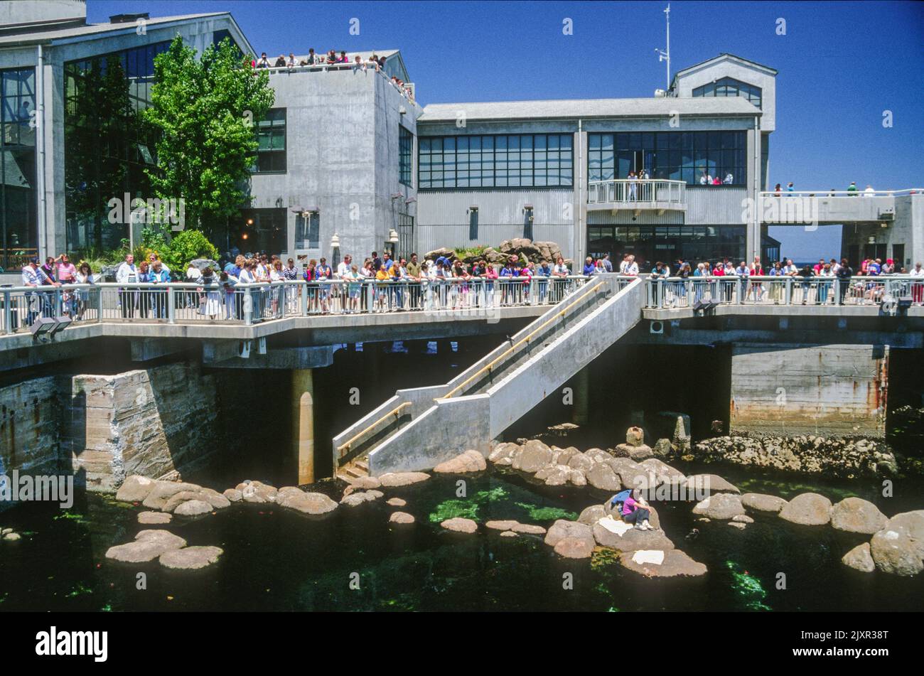 1990s california hi-res stock photography and images - Alamy