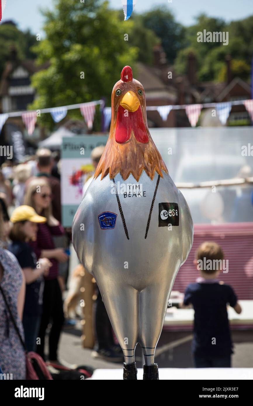 Decorative chicken named 'Tim Beake' forms part of a charity fund ...