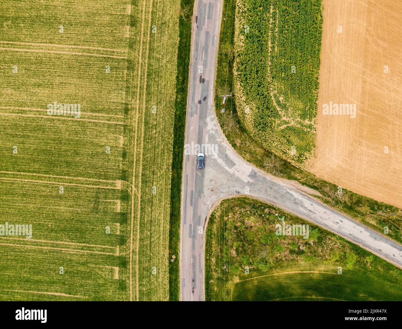 Aerial view of agriculture fields, meadow and road inside. Rural scene ...