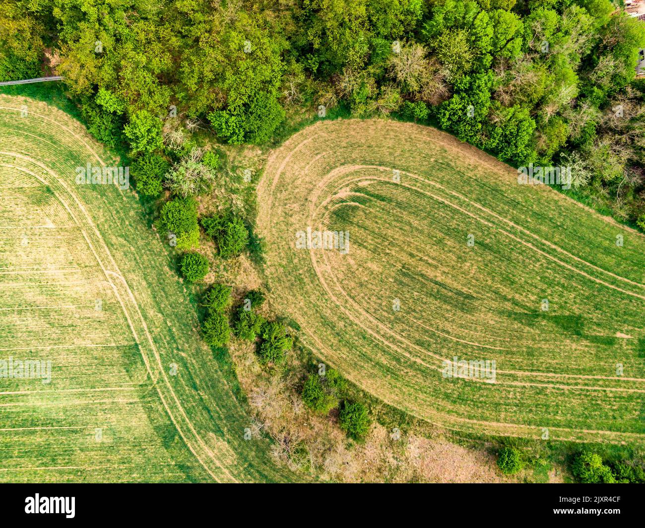 Aerial drone view of field, trees and forest in agriculture land. Top ...