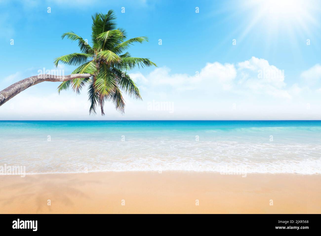 Palm tree overhang hi-res stock photography and images - Alamy