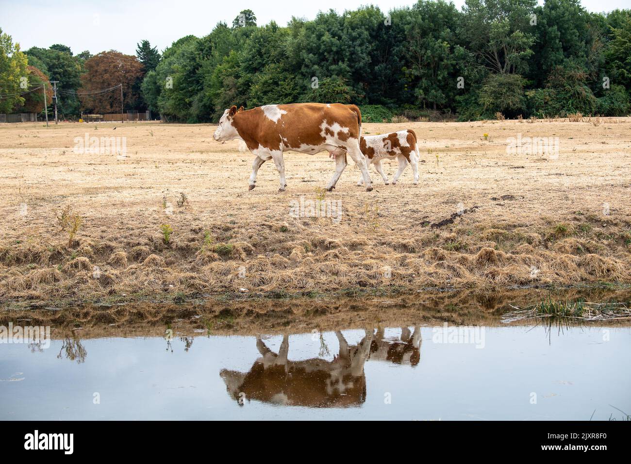 What happens when you cool water hi-res stock photography and images ...