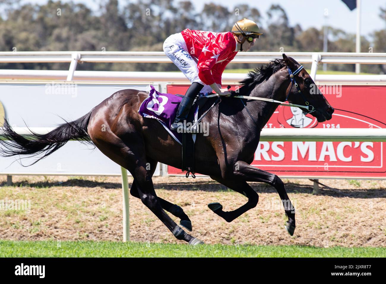 Jockey Ben Allen rides Dance Music to victory in race 4, the TABTOUCH ...