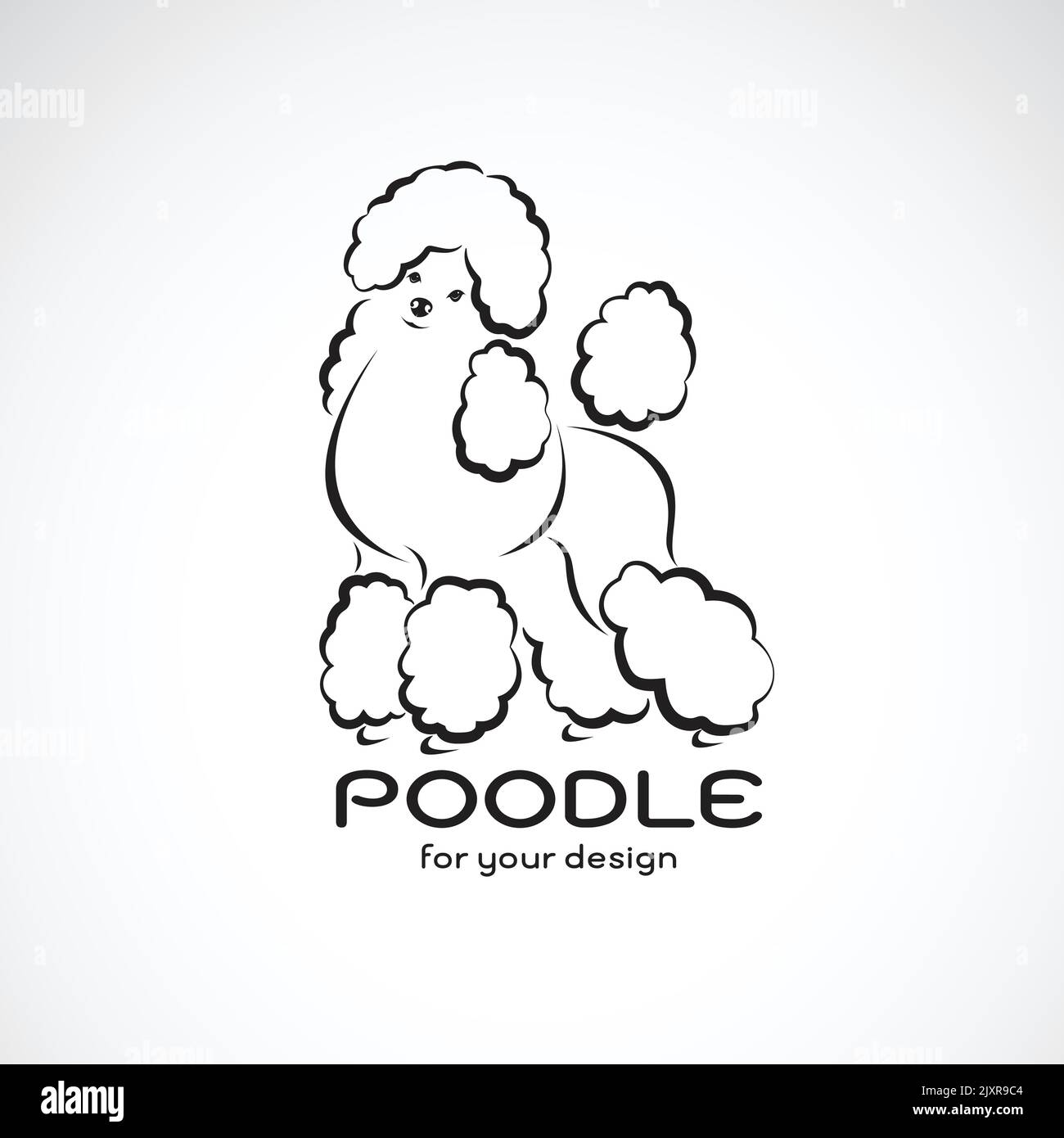 Vector of poodle dog design on white background. Pet Animal. Dog logo ...