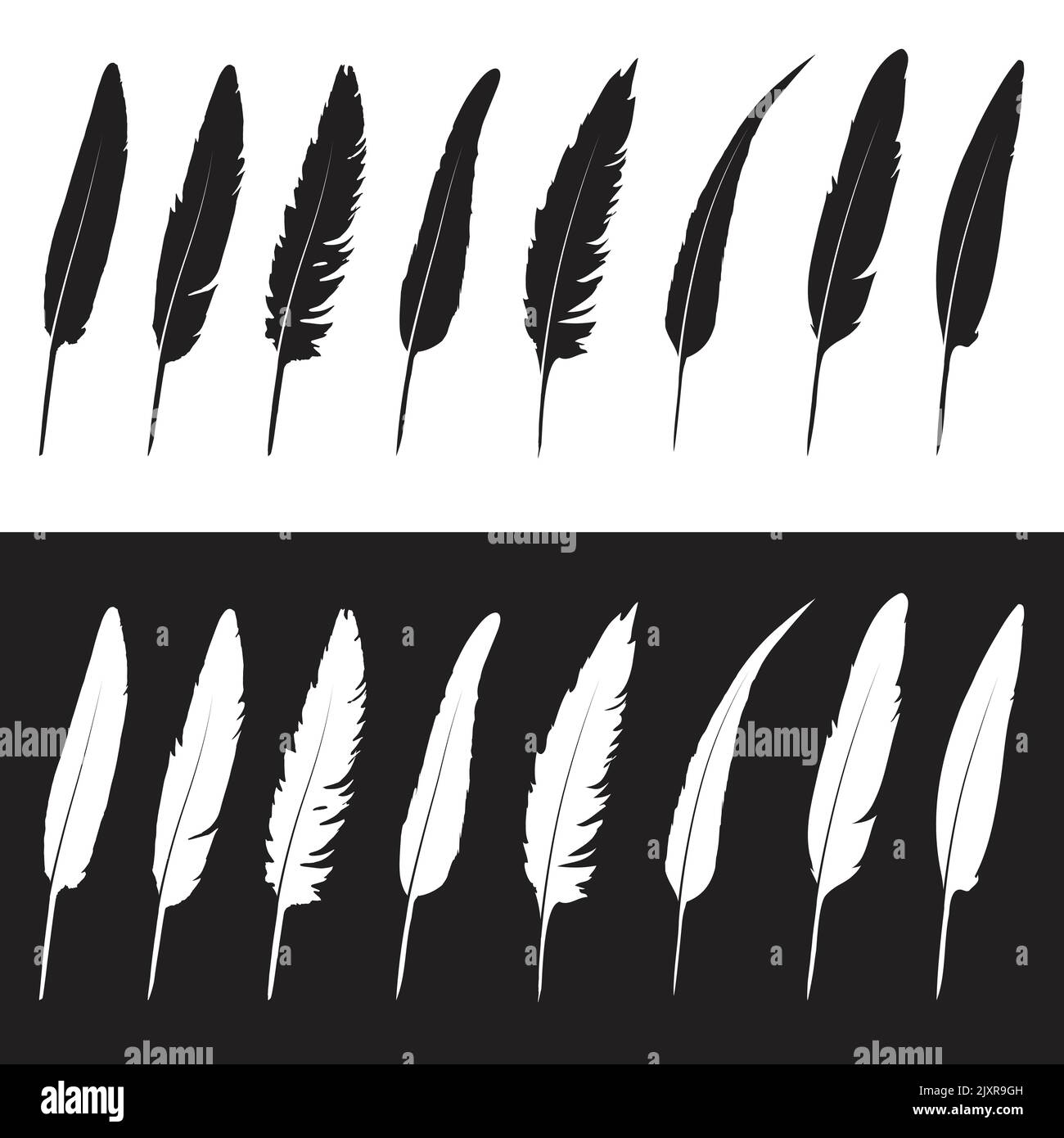 Vector group of feather on white background and black background. Easy ...