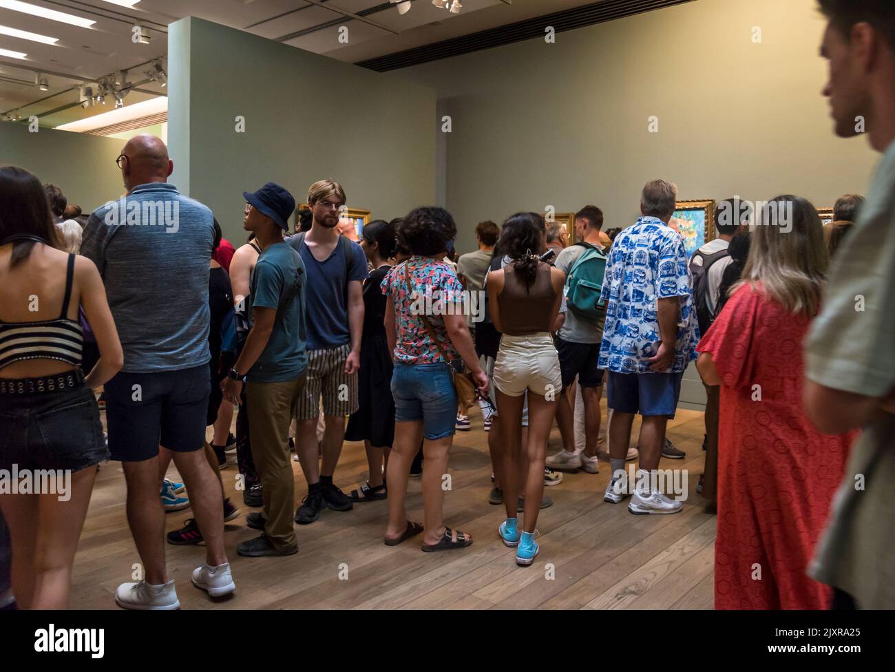 Total madness - people piling up in front of Vincent van Gogh: Starry ...