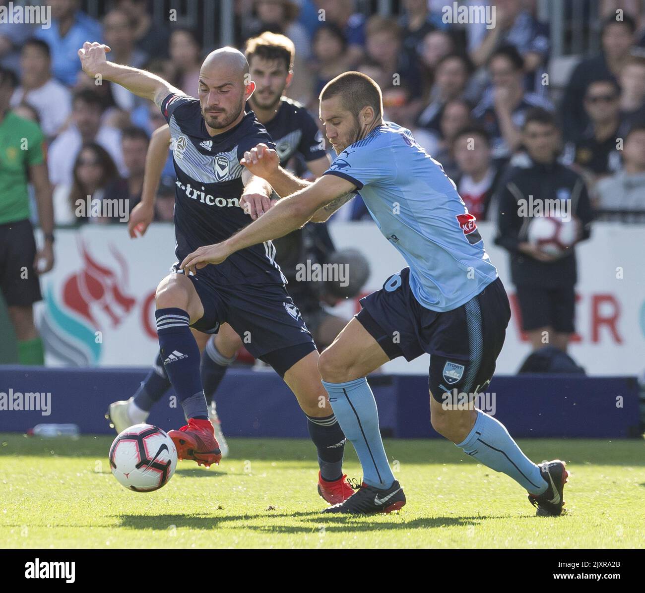 Joshua Brillante of Sydney James Troisi of the Victory during the Round ...