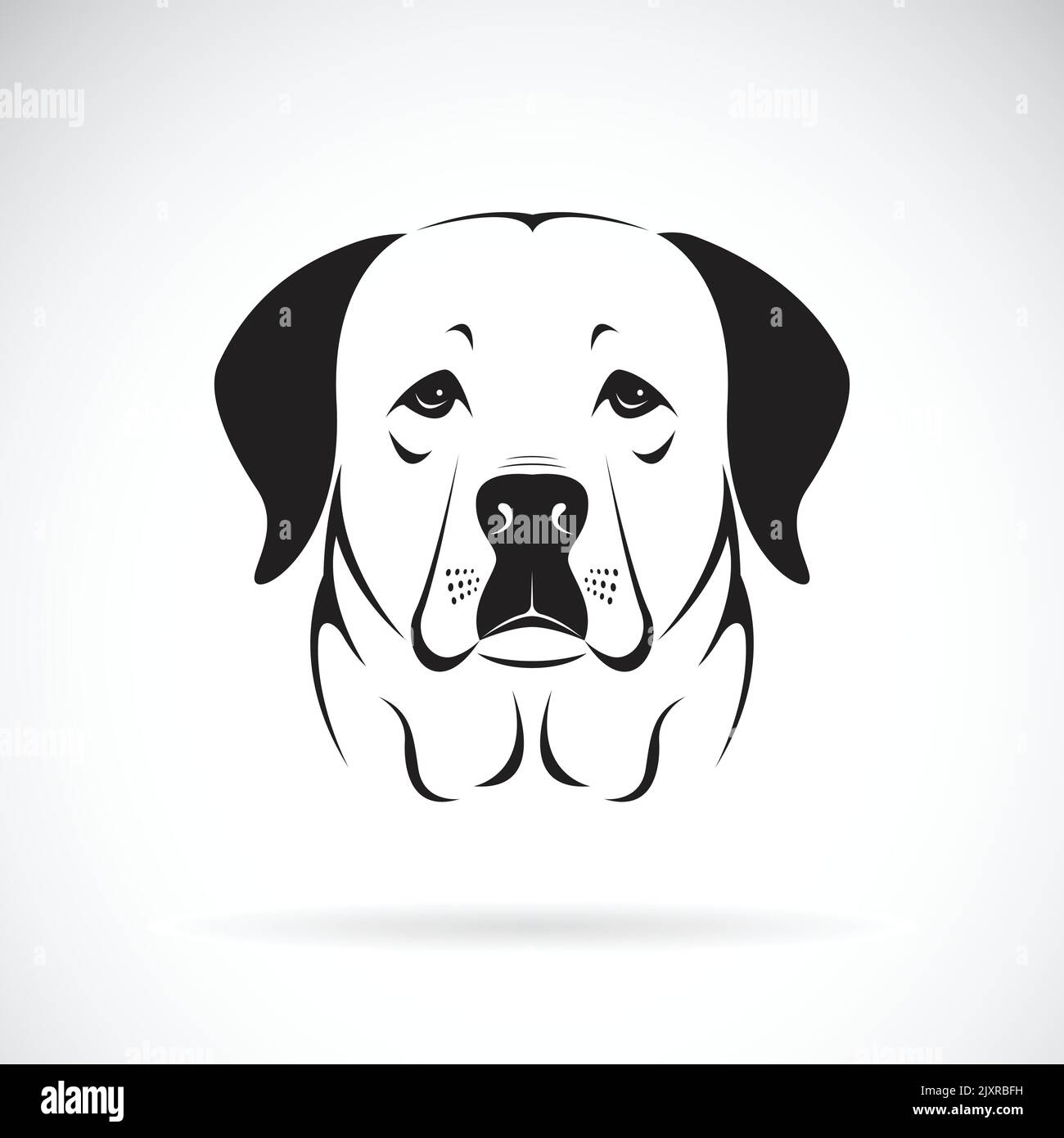 Vector of a dog head(Labrador Retriever) on white background, Pet ...
