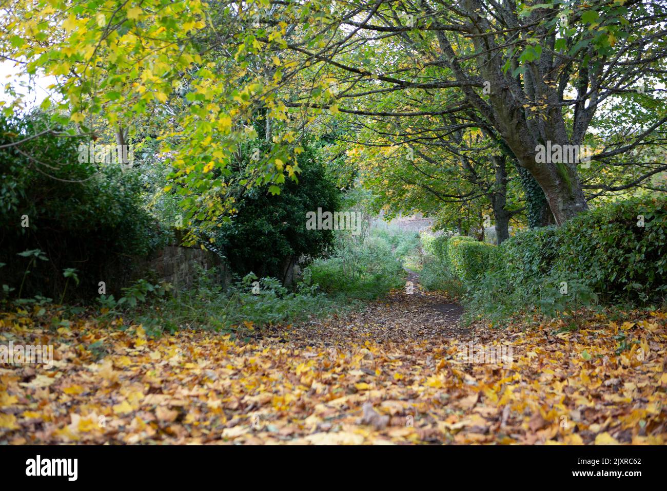 Rosslyn Chapel in Scotland Stock Photo - Alamy