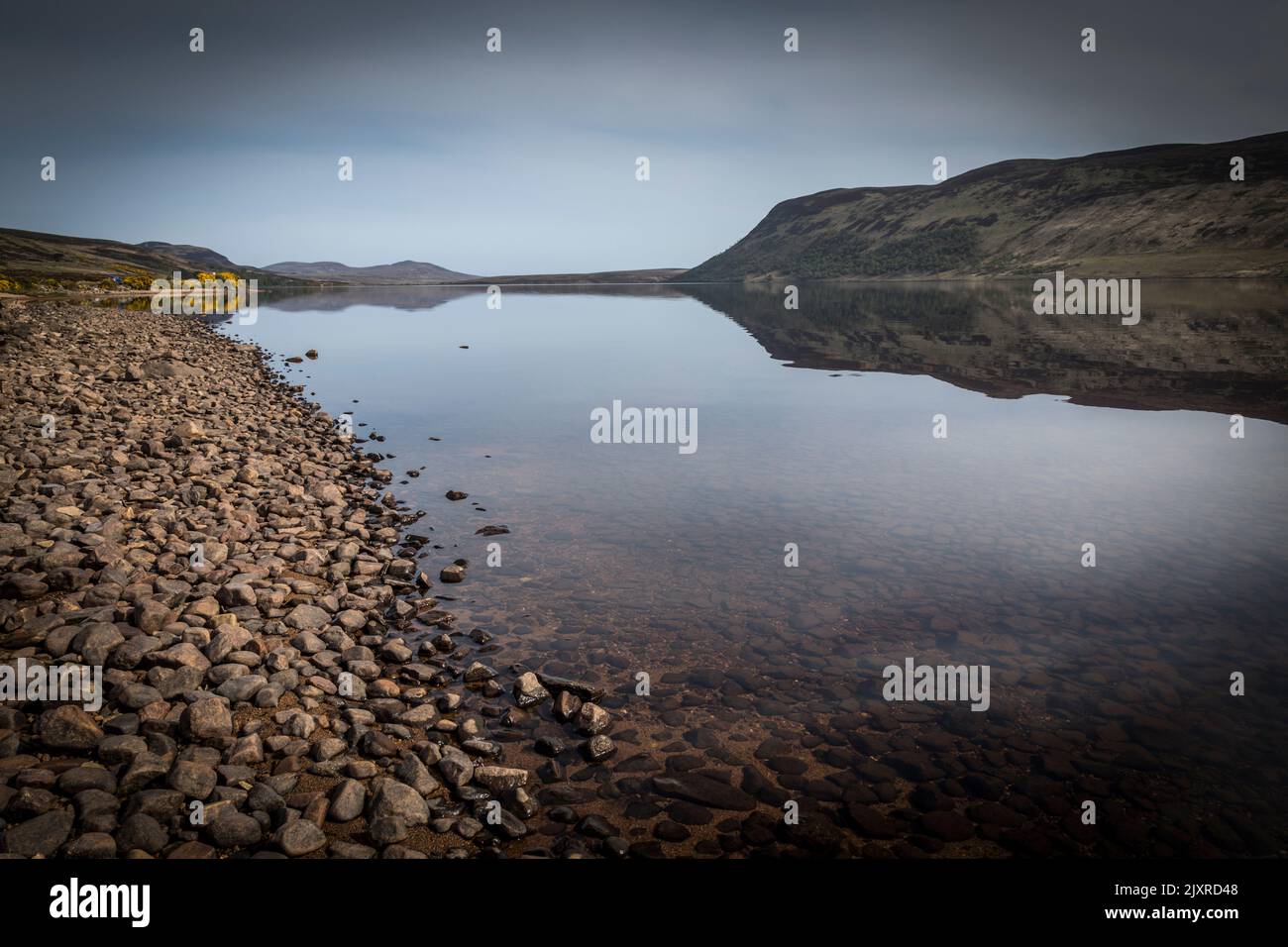 Loch loyal hi-res stock photography and images - Alamy