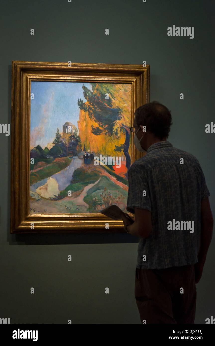 Paul Gauguin, Les Alyscamps (1888), Musée d'Orsay, Paris, France Stock ...