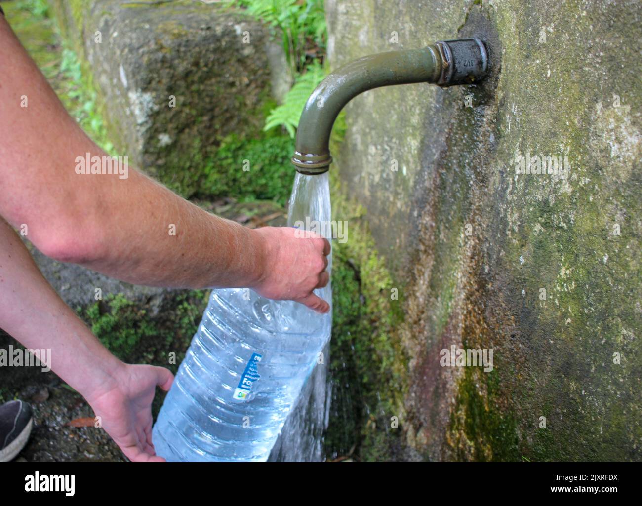 collecting water in the middle of nature due to shortage and ...