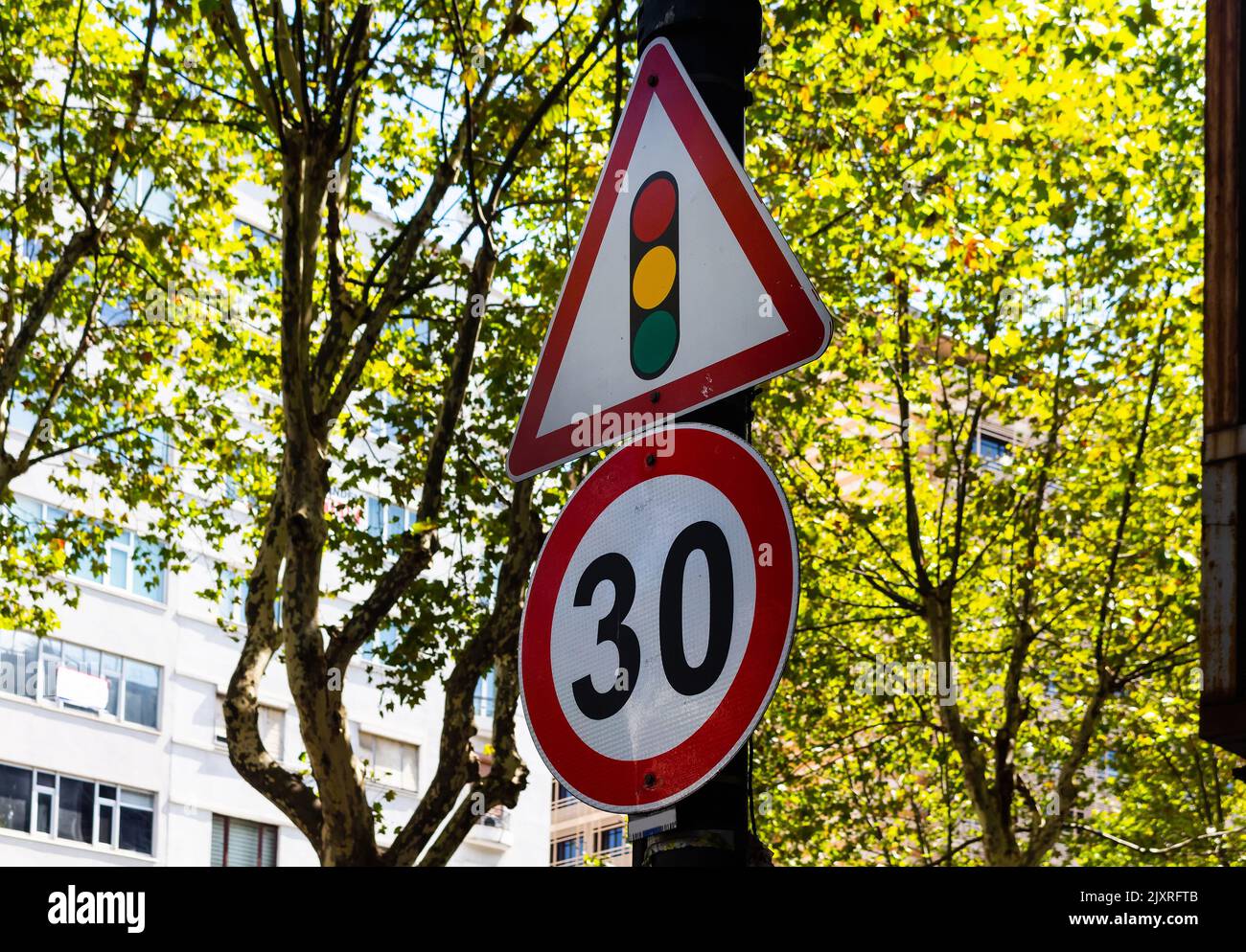 Close up view of traffic signs with trees in the background in Istanbul ...