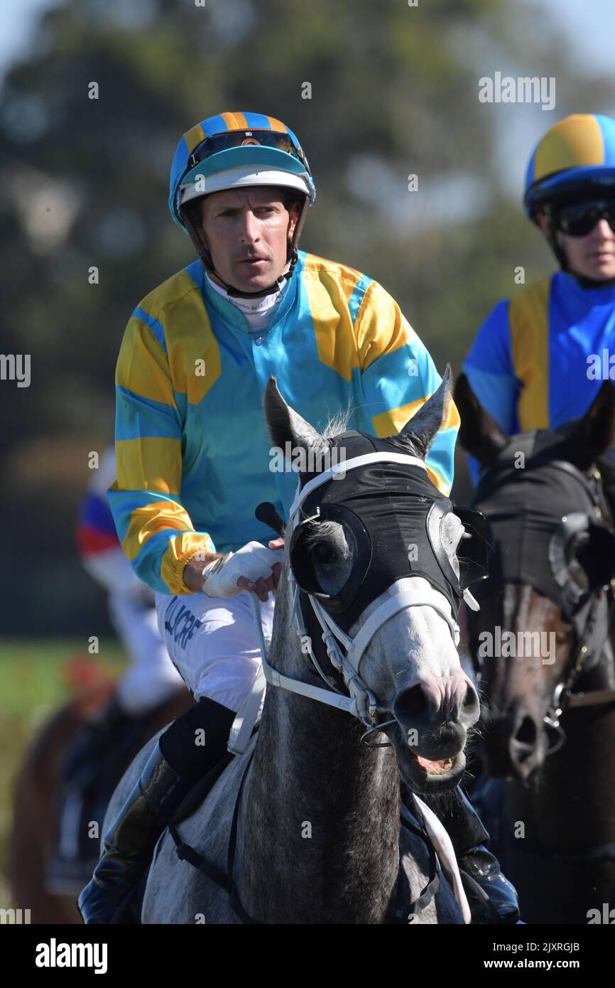 Jockey Hugh Bowman returns to scale after riding My Nordic Hero to ...