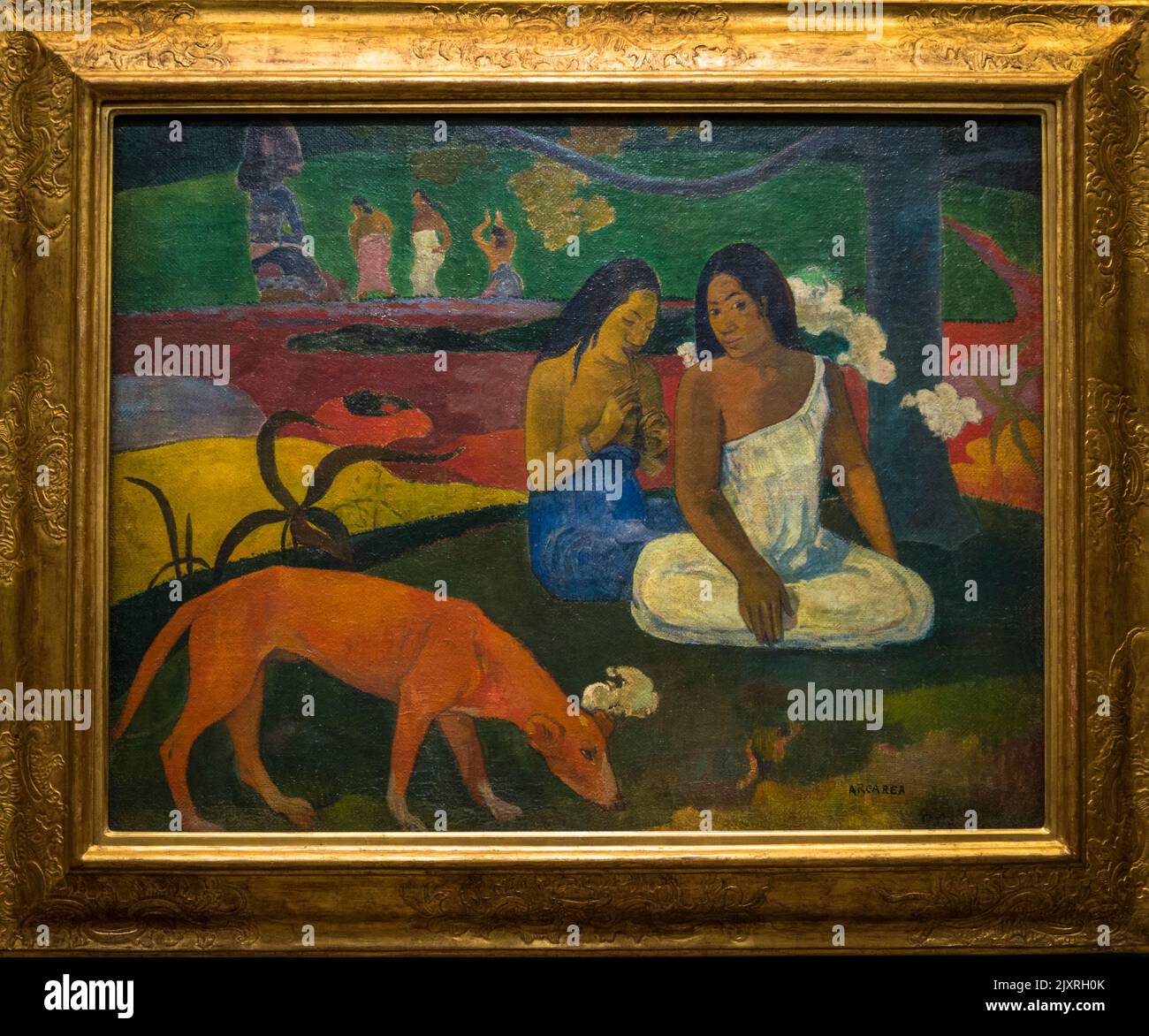 Arearea hi-res stock photography and images - Alamy