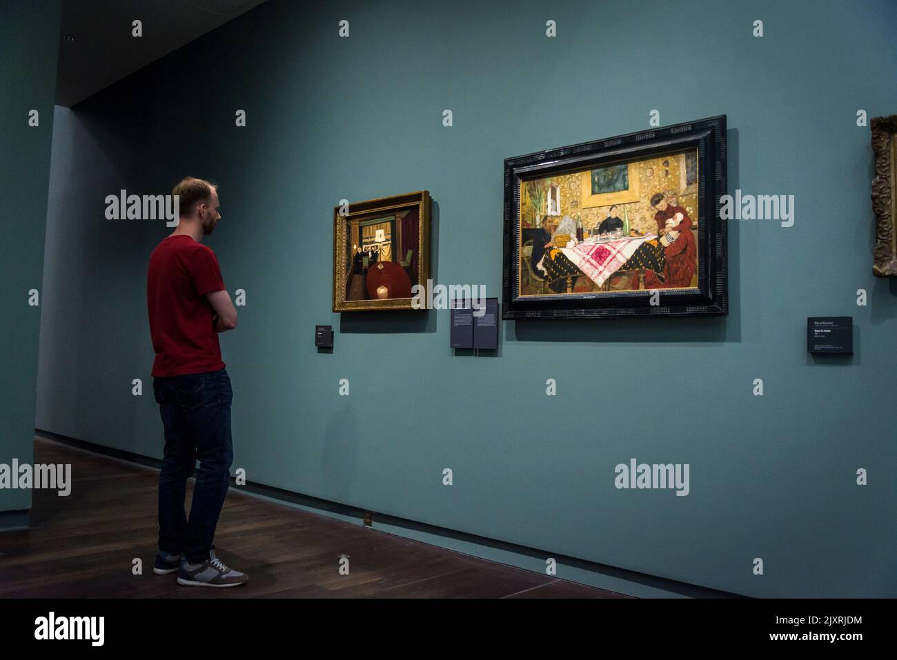 Man looking at Pierre Bonnard painting, Musée d'Orsay, Paris, France ...