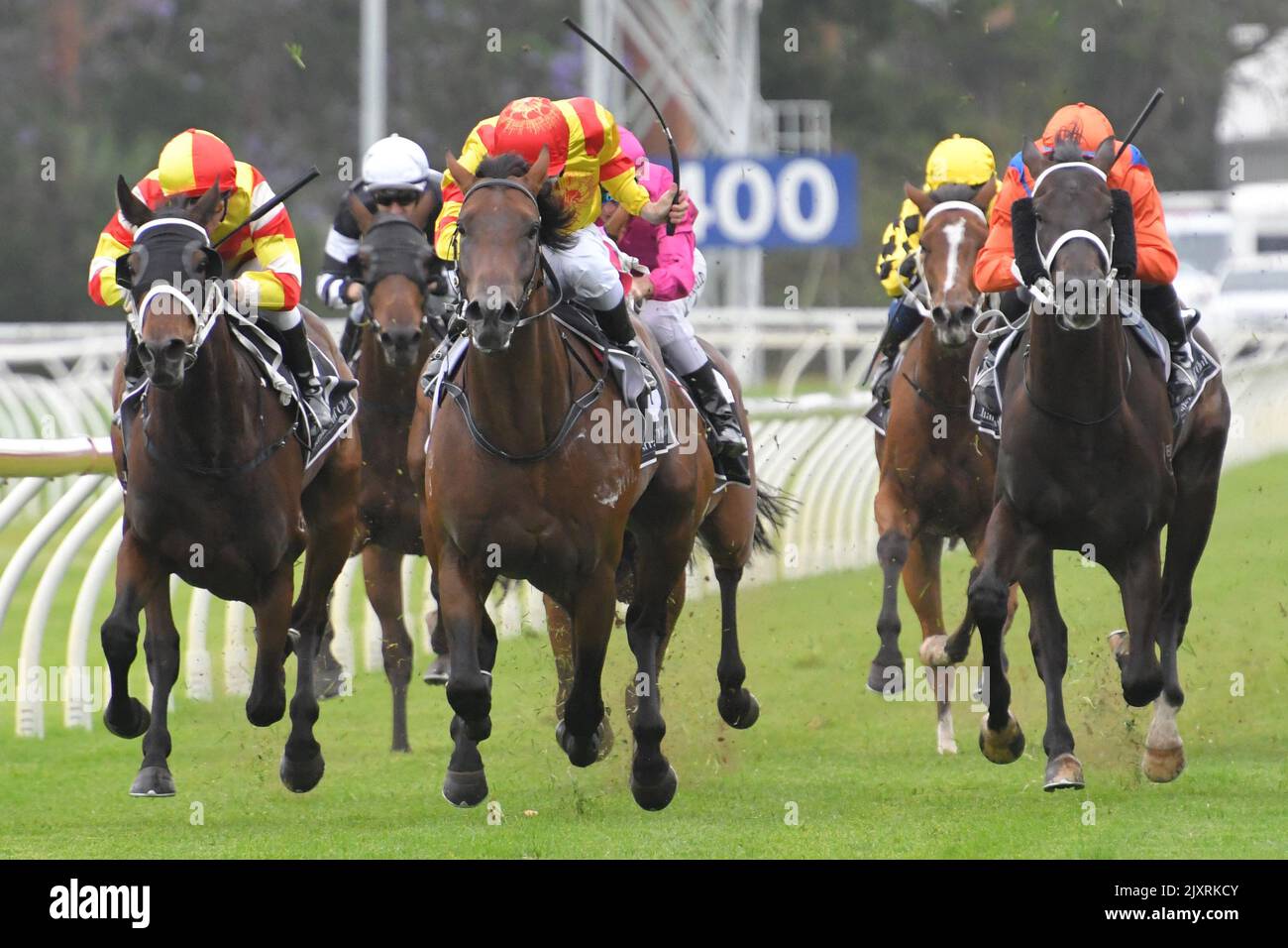 Jockey Tim Clark rides Thunder Pace to victory in race 3, the Farewell ...