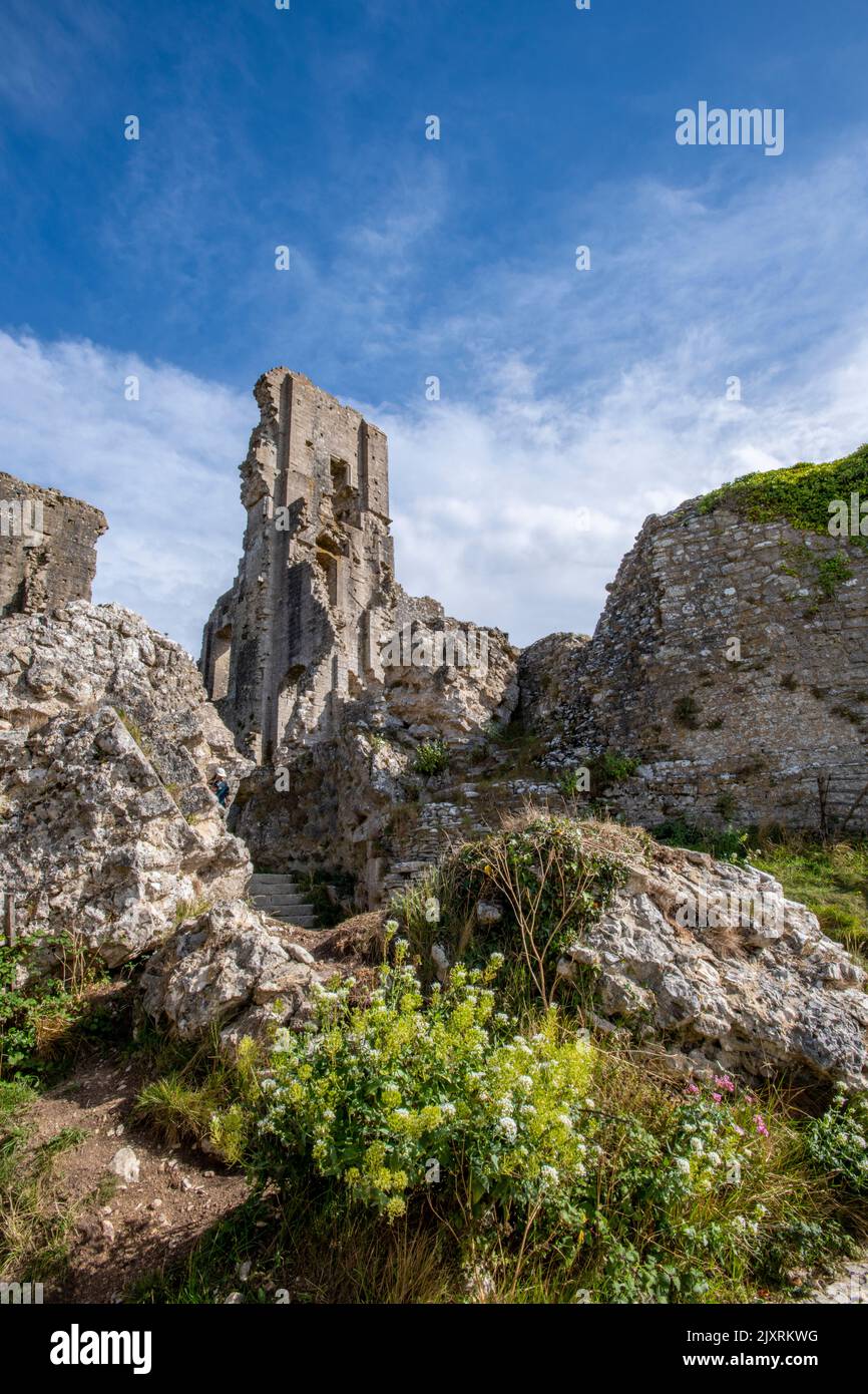 ruins of corfe castle on the isle of purbeck in dorset uk, historic ...