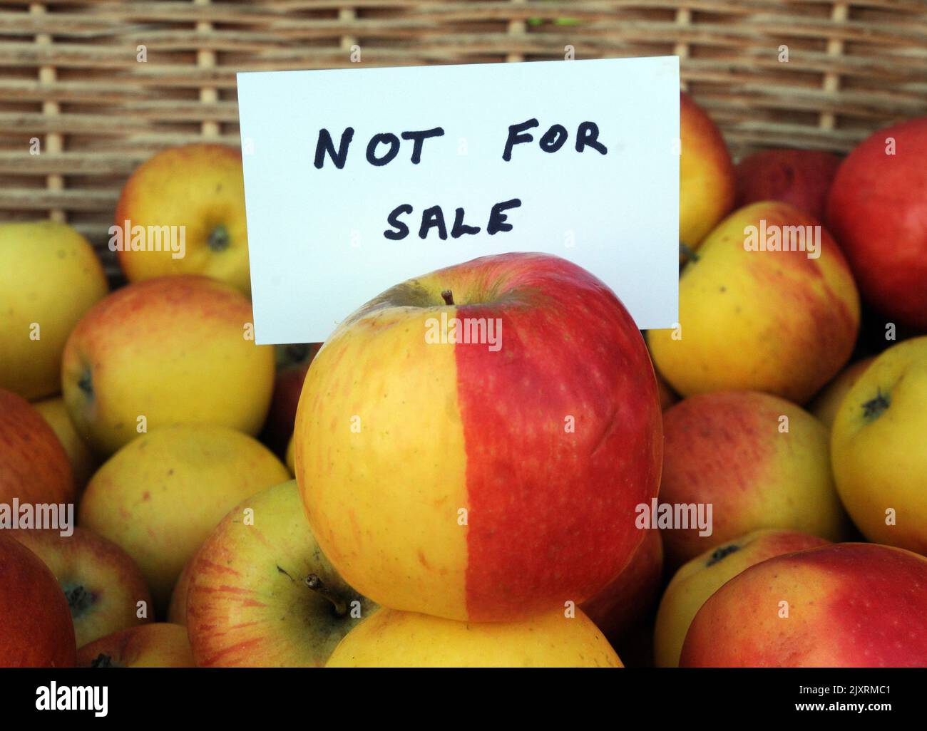 Green grocer Wayne Ames was amazed when his delivery of Pink Lady ...