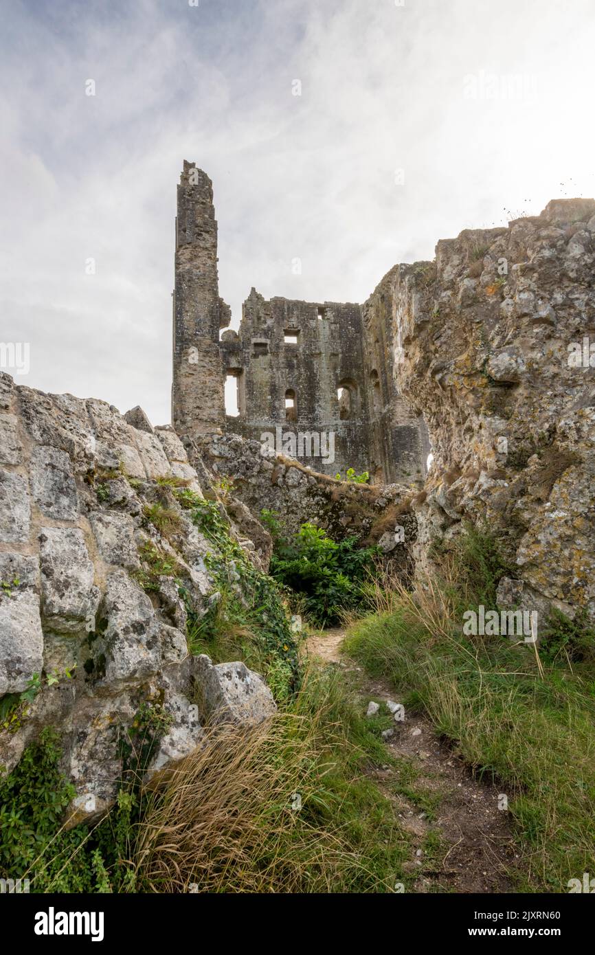 ruins of the 11th century fortress at corfe castle on the isle of ...