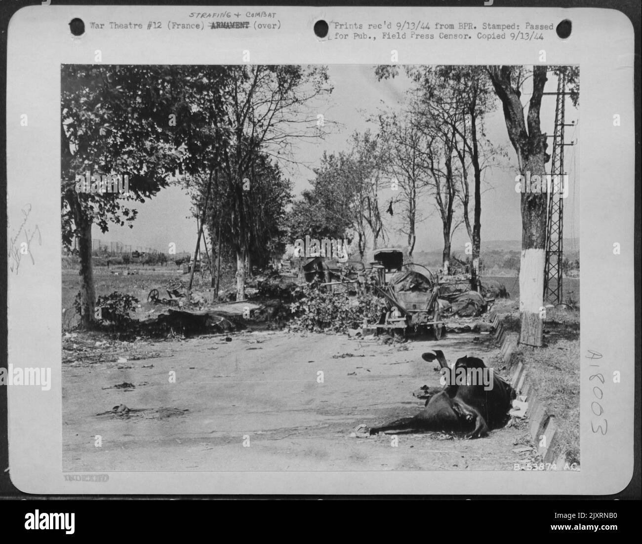 Dead horses and wrecked German vehicles littered the roads of the Rhone ...