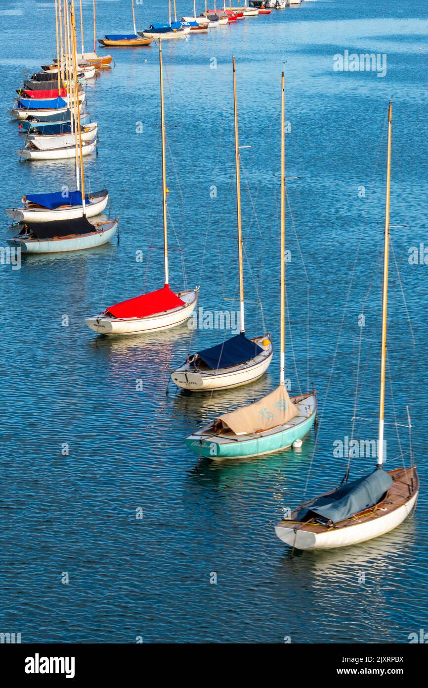 row of small yachts on moorings in the river at lymington harbour in hampshire, sailing boats on ...
