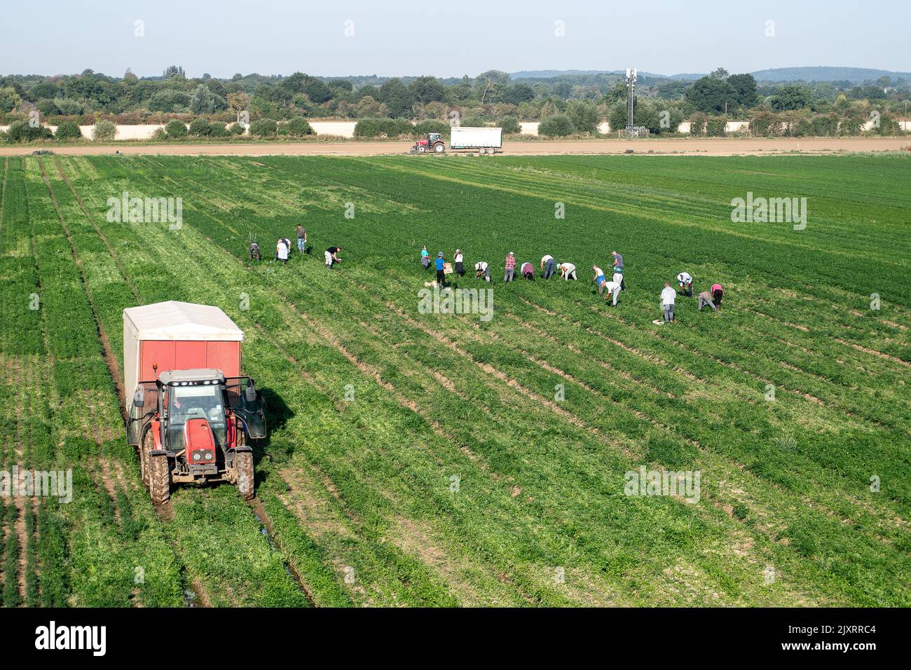 Foreign workers england hi-res stock photography and images - Alamy
