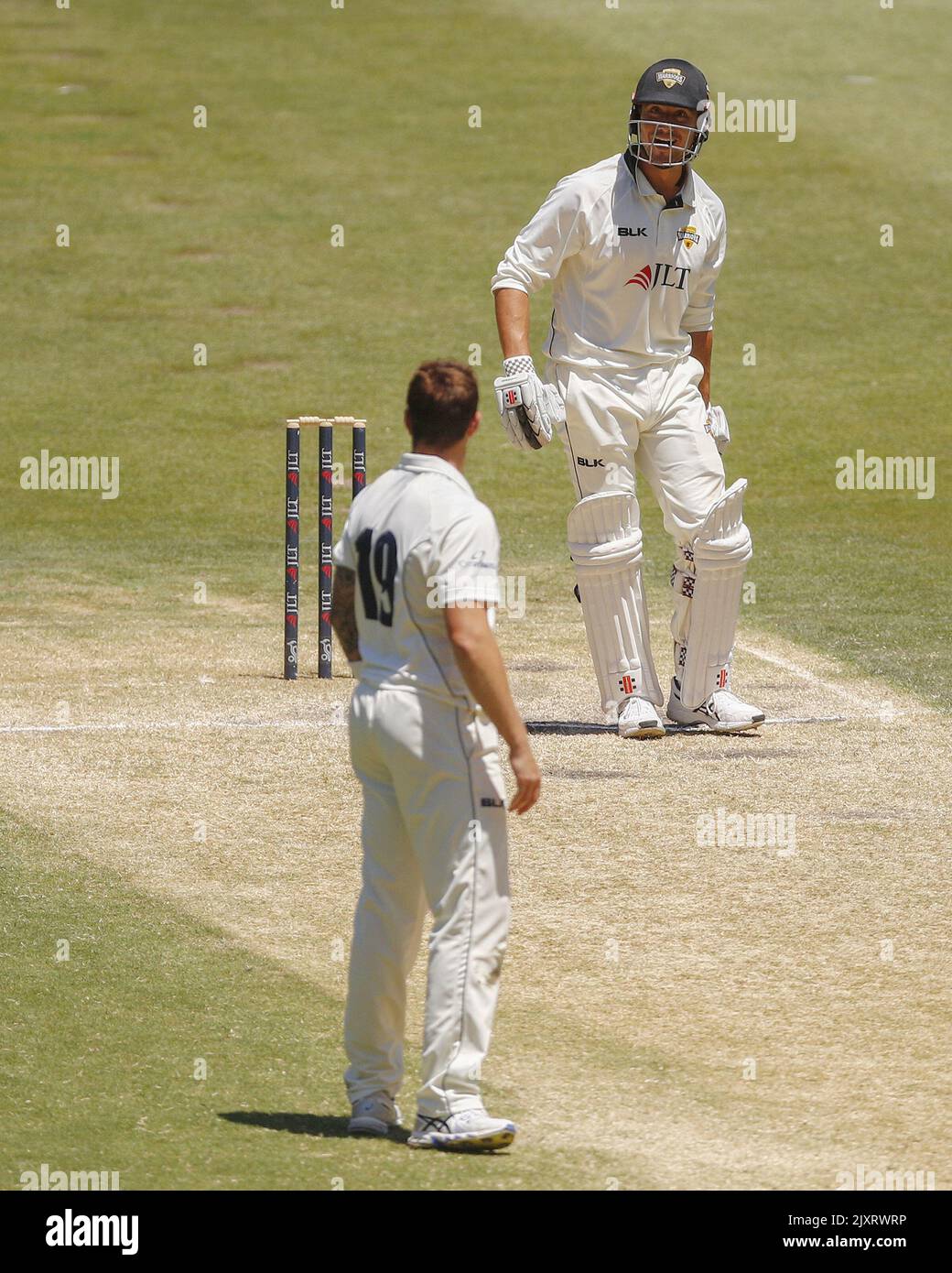 James Pattinson of Victoria (bottom) and Marcus Stoinis of Western ...
