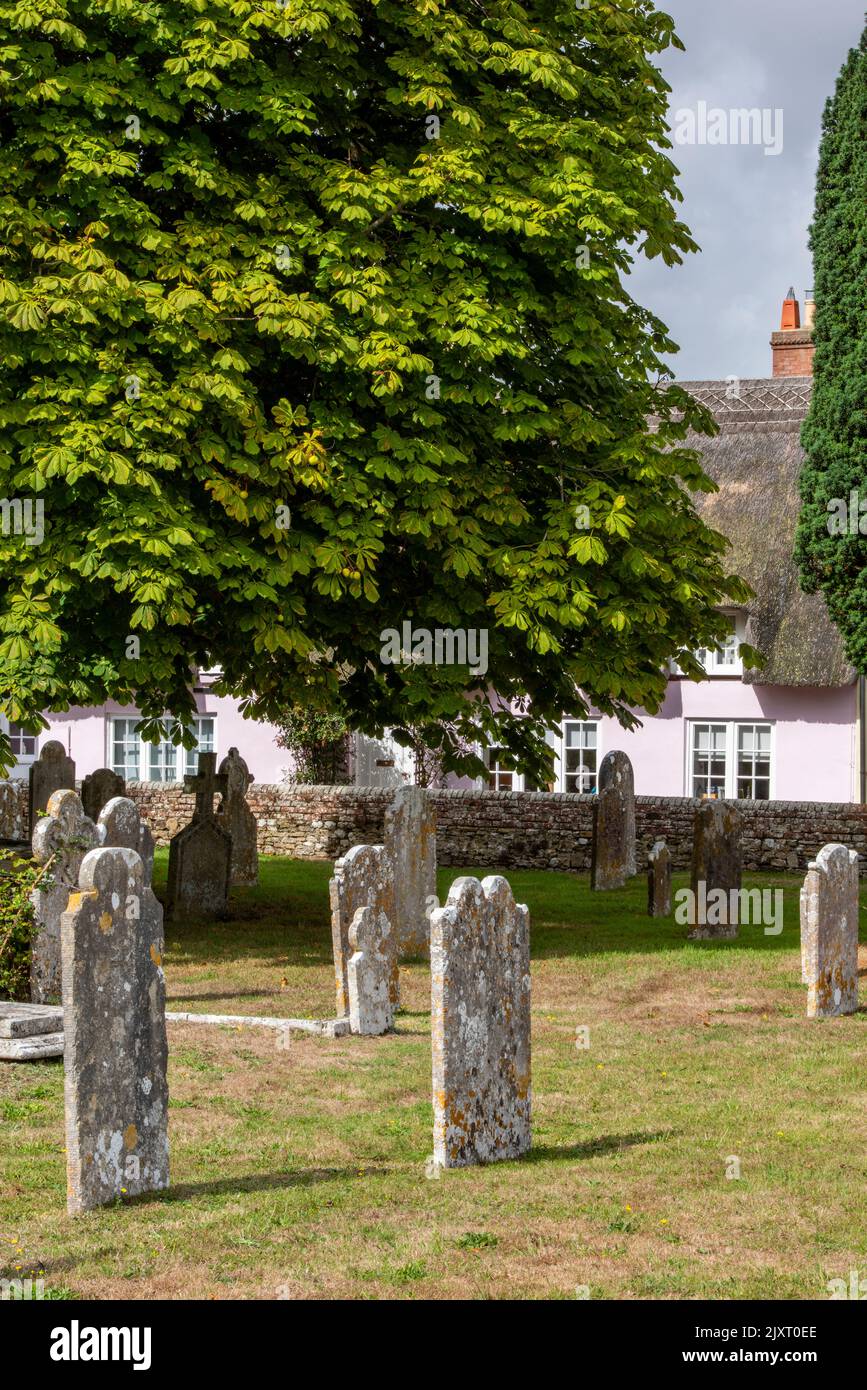 historic graveyard or cemetery at wareham dorset with traditional ...