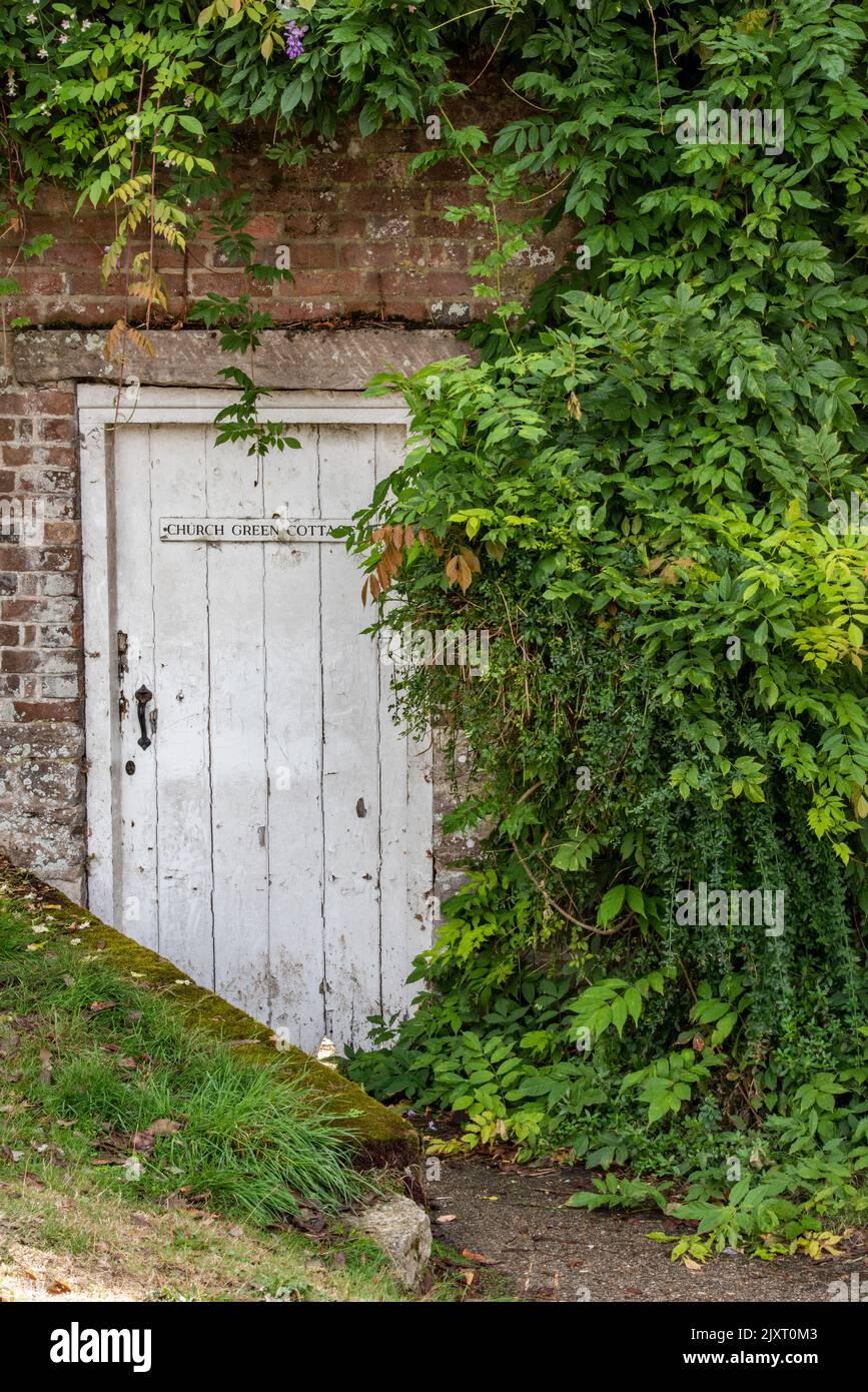 old wooden door partially hidden by overgrown garden bushes in a walled ...