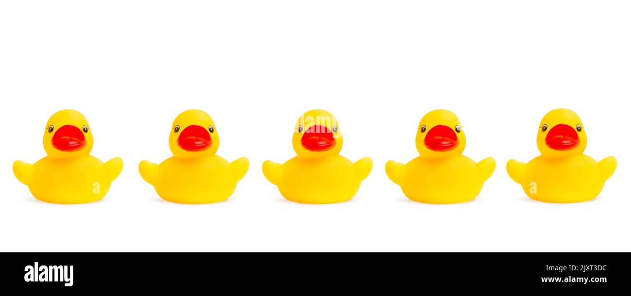 Five baby ducks hi-res stock photography and images - Alamy