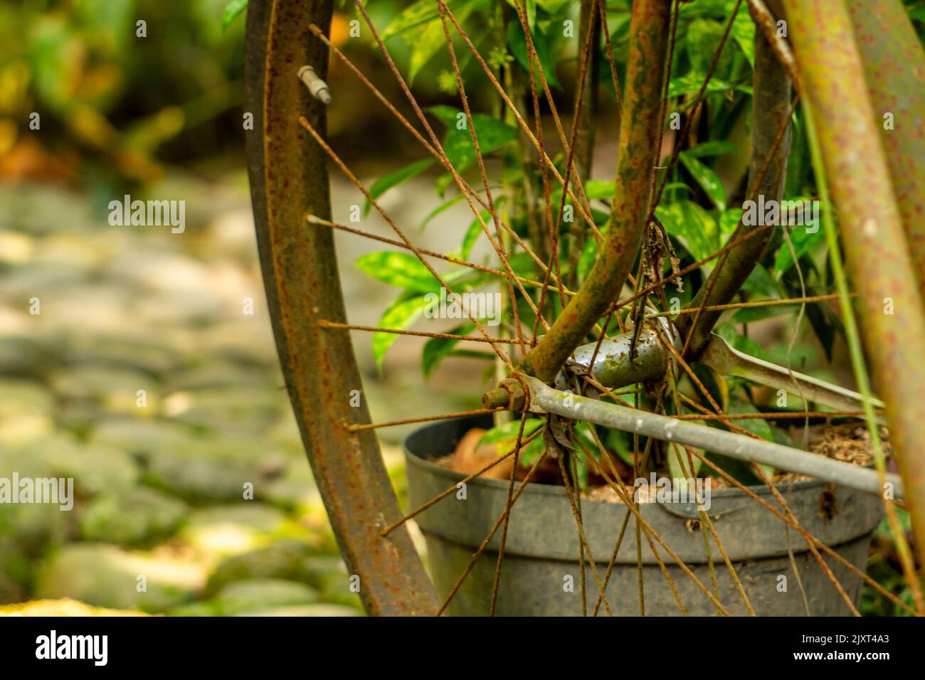 An old bicycle wheel with rusty iron and spokes, piled up against a ...
