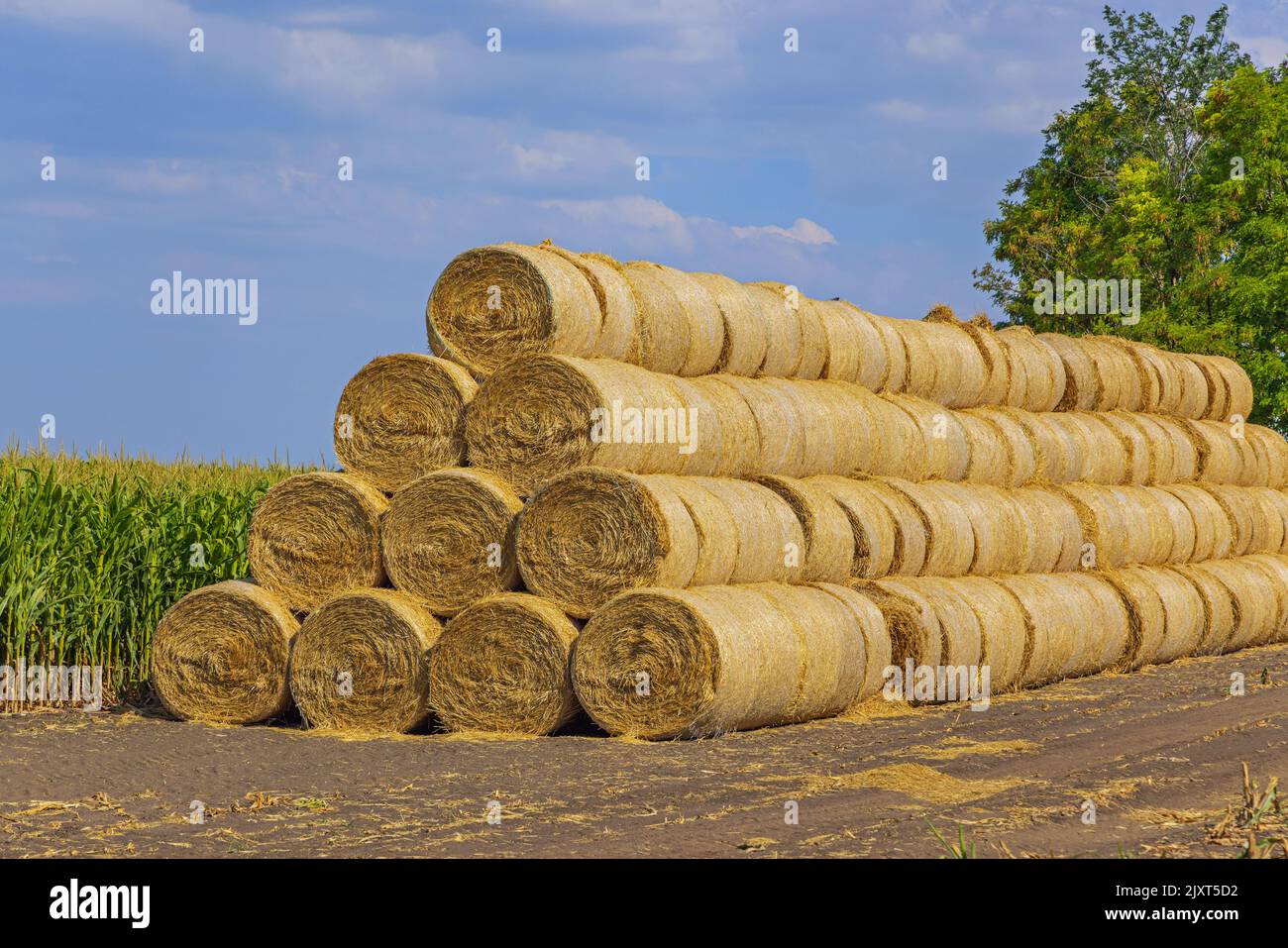 Pyramid rolls hi-res stock photography and images - Alamy