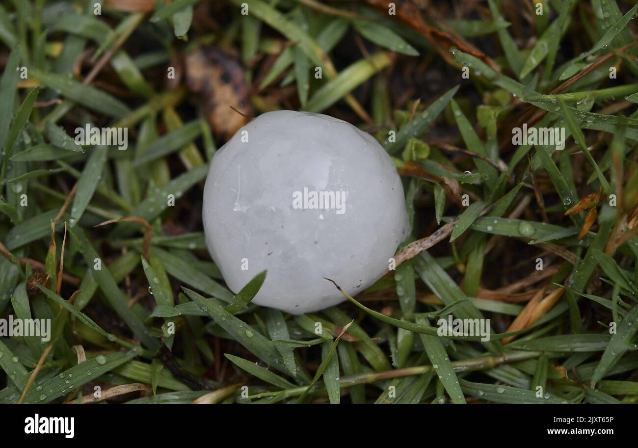 A large piece of hail is seen during a storm in Sydney, Thursday ...