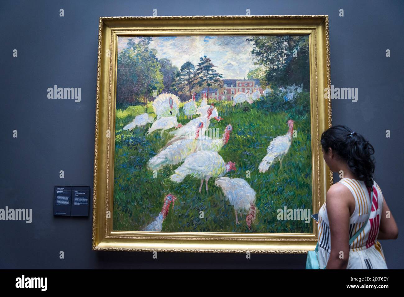 Monet musee dorsay artwork hi-res stock photography and images - Alamy