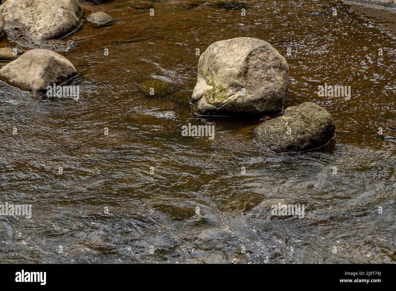 Expanse of volcanic rocks in a small river with a calm water flow, the ...