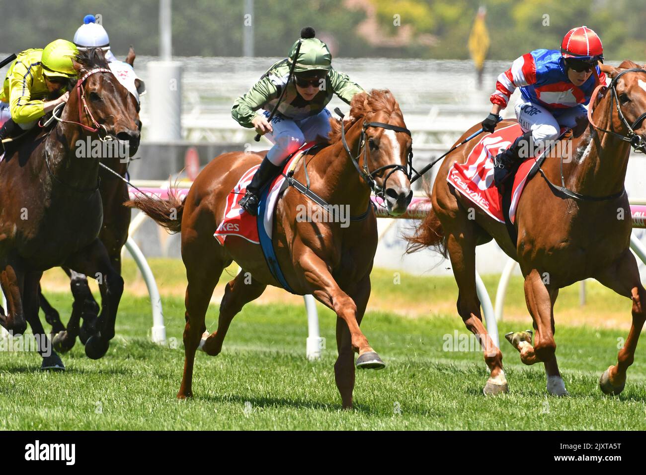 Jockey Linda Meech rides Star Fall to victory in race 2, the Joe Brown ...