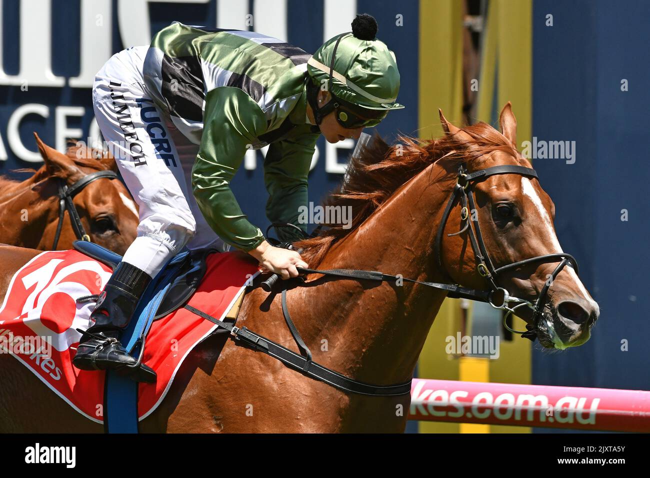 Jockey Linda Meech rides Star Fall to victory in race 2, the Joe Brown ...