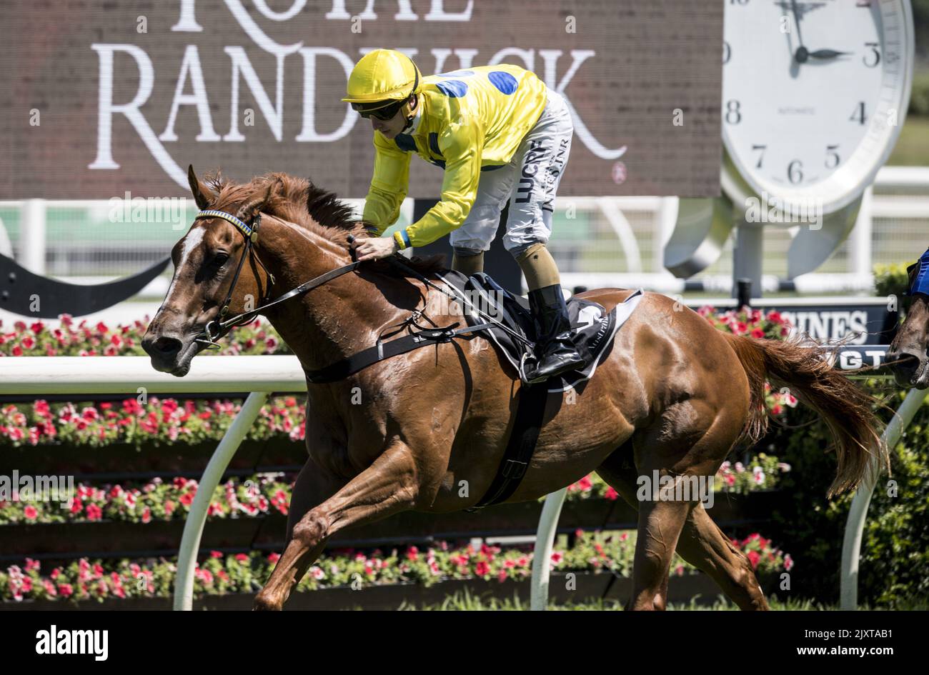 Jockey James Innes Jnr rides Miss Celebration to victory in race 4, the ... Jockey James Innes Jnr rides Miss Celebration to victory in race 4, the ...